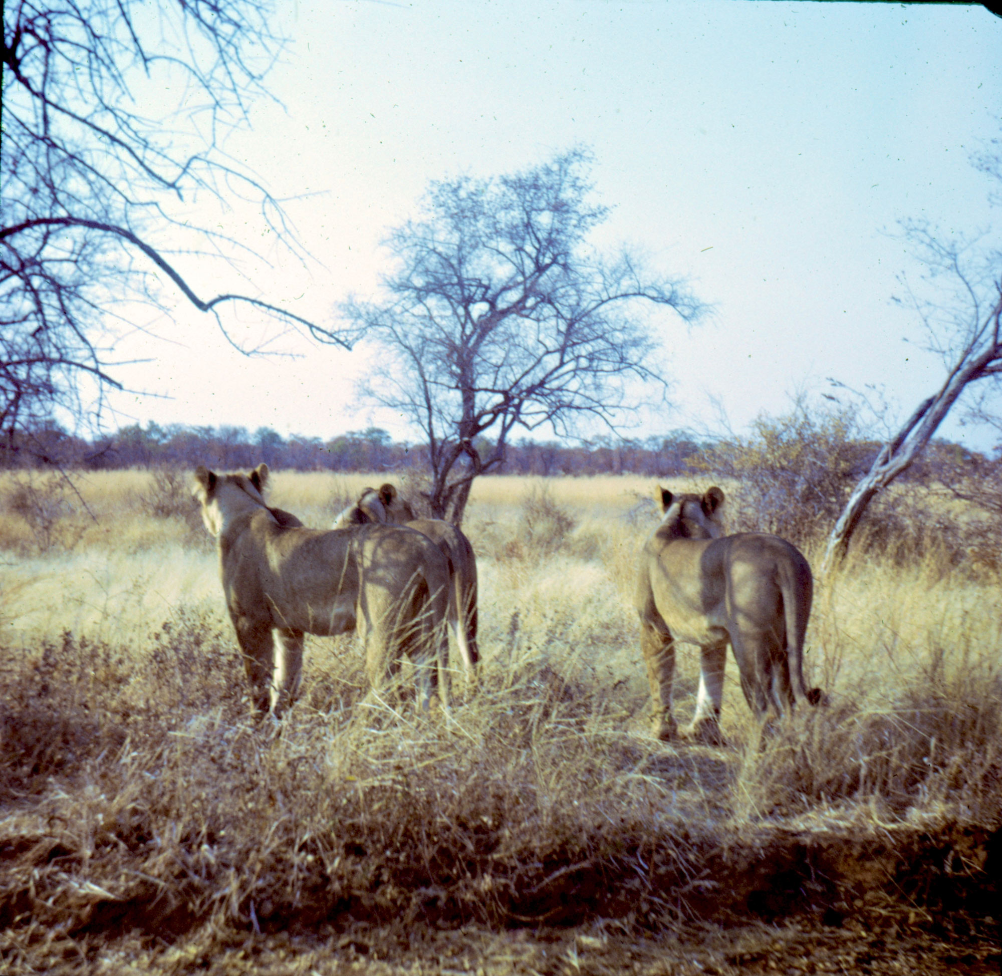 Kitwe Zambia 1970